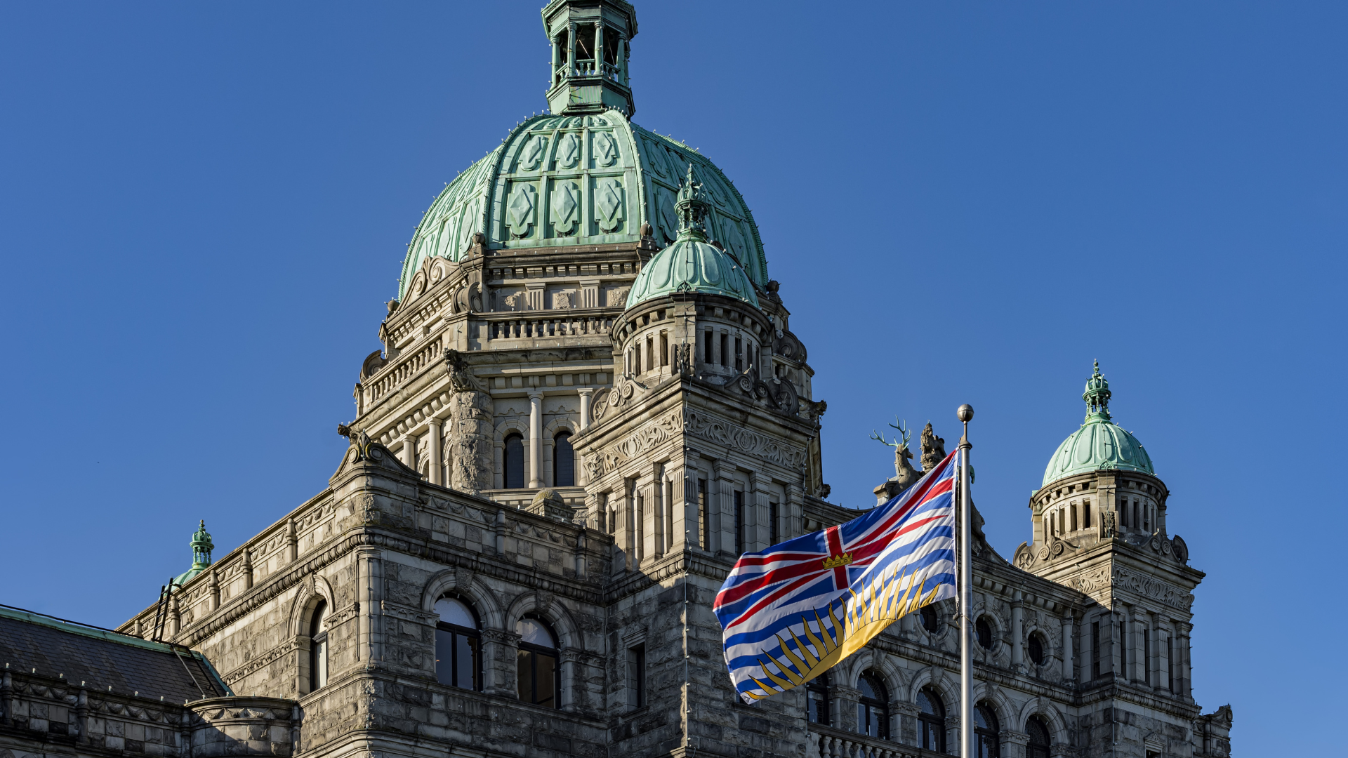 British Columbia Youth Council | BCYC